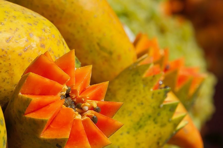 The Goodness Of Papaya: 10 Health Benefits Of Eating Papaya Daily